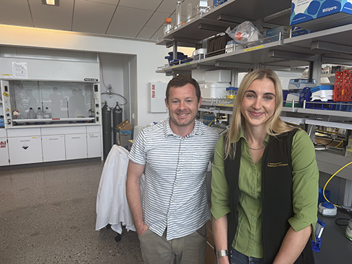 UCSB Researchers Develop Novel Membrane Gel to Study Mammary Cells | Department of Mechanical ...